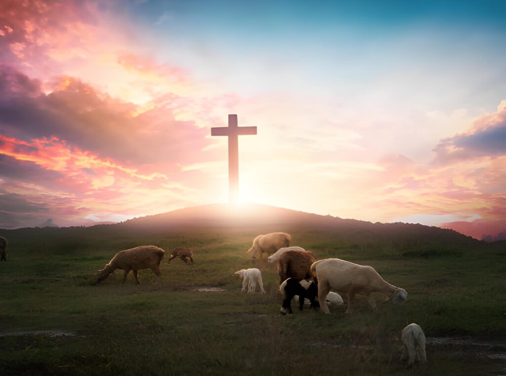 What Did Jesus Mean When He Told Peter, "Feed My Sheep"? - Scripture River